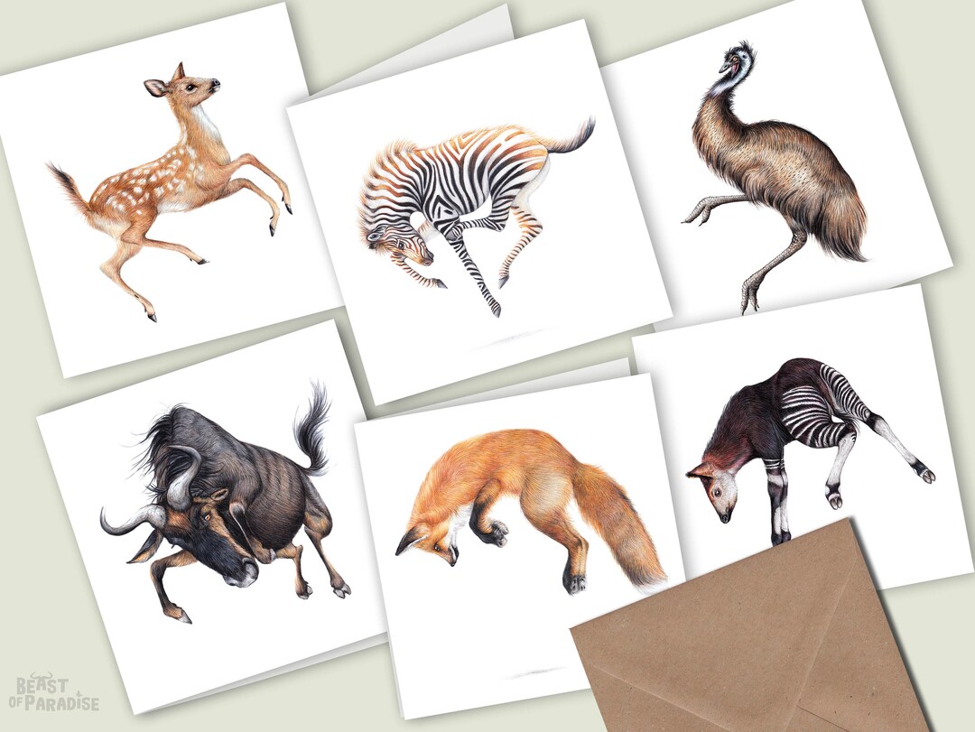 Funny Animal Cards, Set of 6, Greeting Cards Handmade, Card Set Blank ...