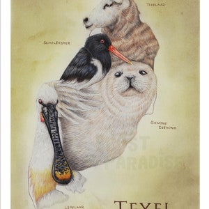 Wildlife of Texel, 30 X 20 Cm, Map Art Print, Animal Map Wall ...