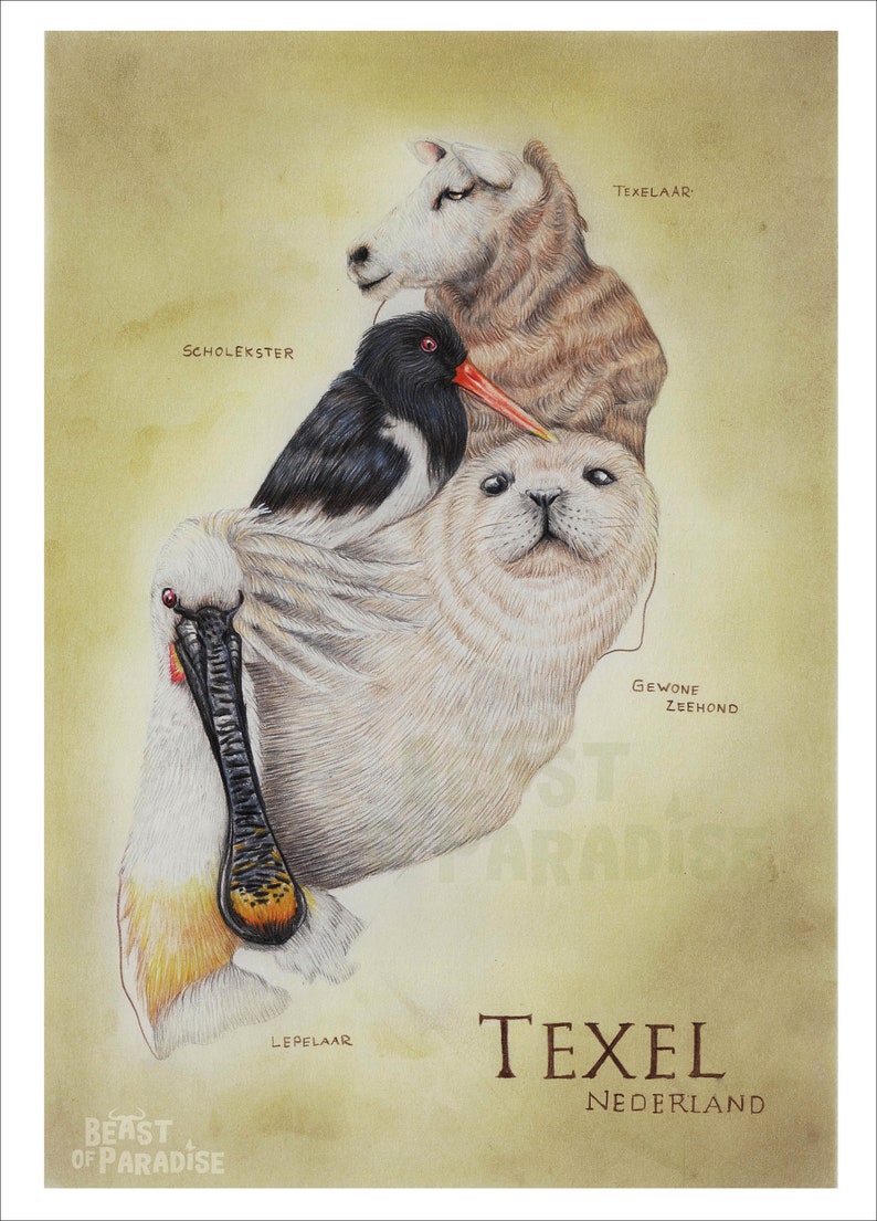 Wildlife of Texel, 30 X 20 Cm, Map Art Print, Animal Map Wall ...