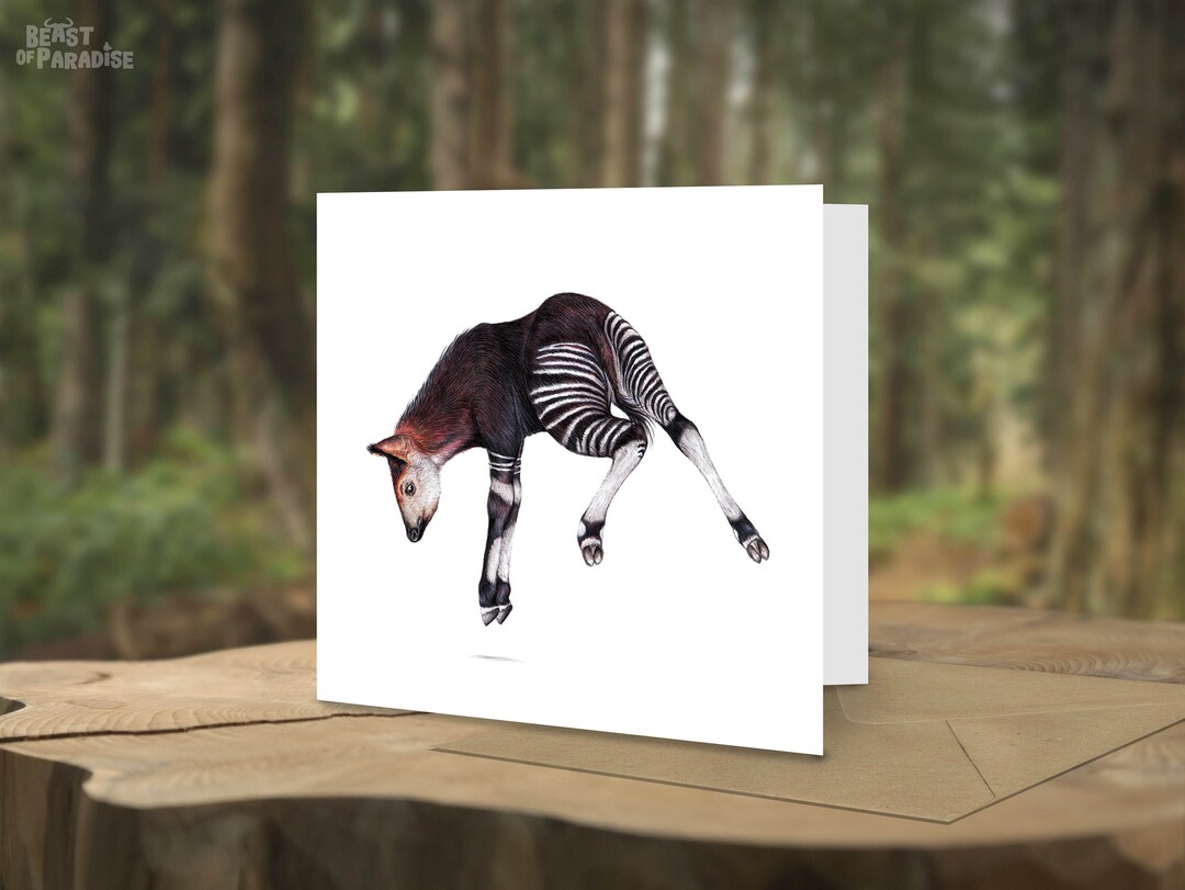 Okapi Card, Birthday Card, Greeting Card, Whimsical Cards, Blank Card ...