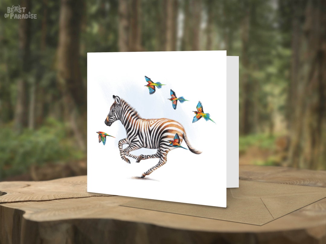 Zebra Kaart, Birthday Card, Greeting Card, Whimsical Cards, Blank Cards ...