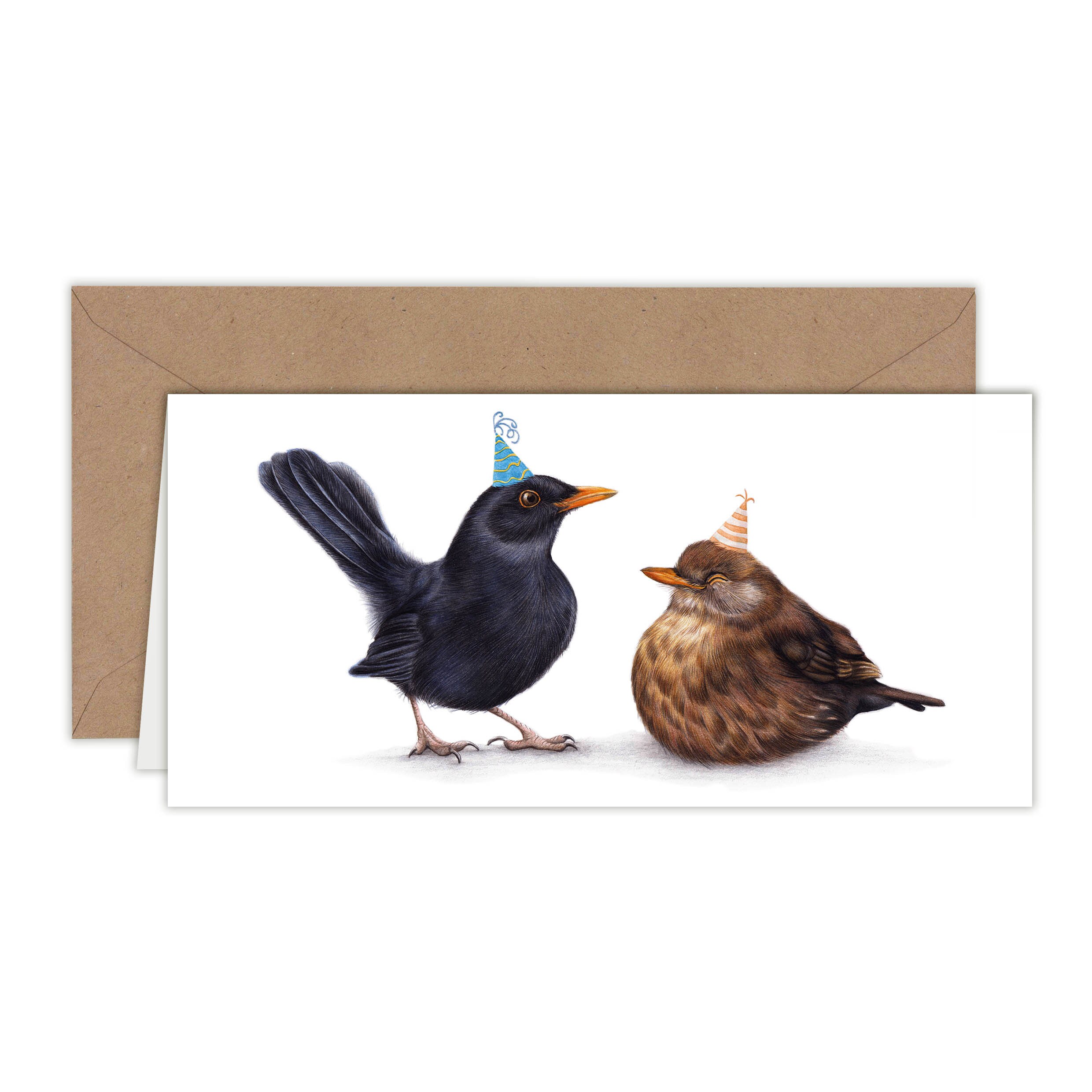 Birthday Cards, Set of 6, Bird Greeting Cards, Animal Cards, Gift for ...