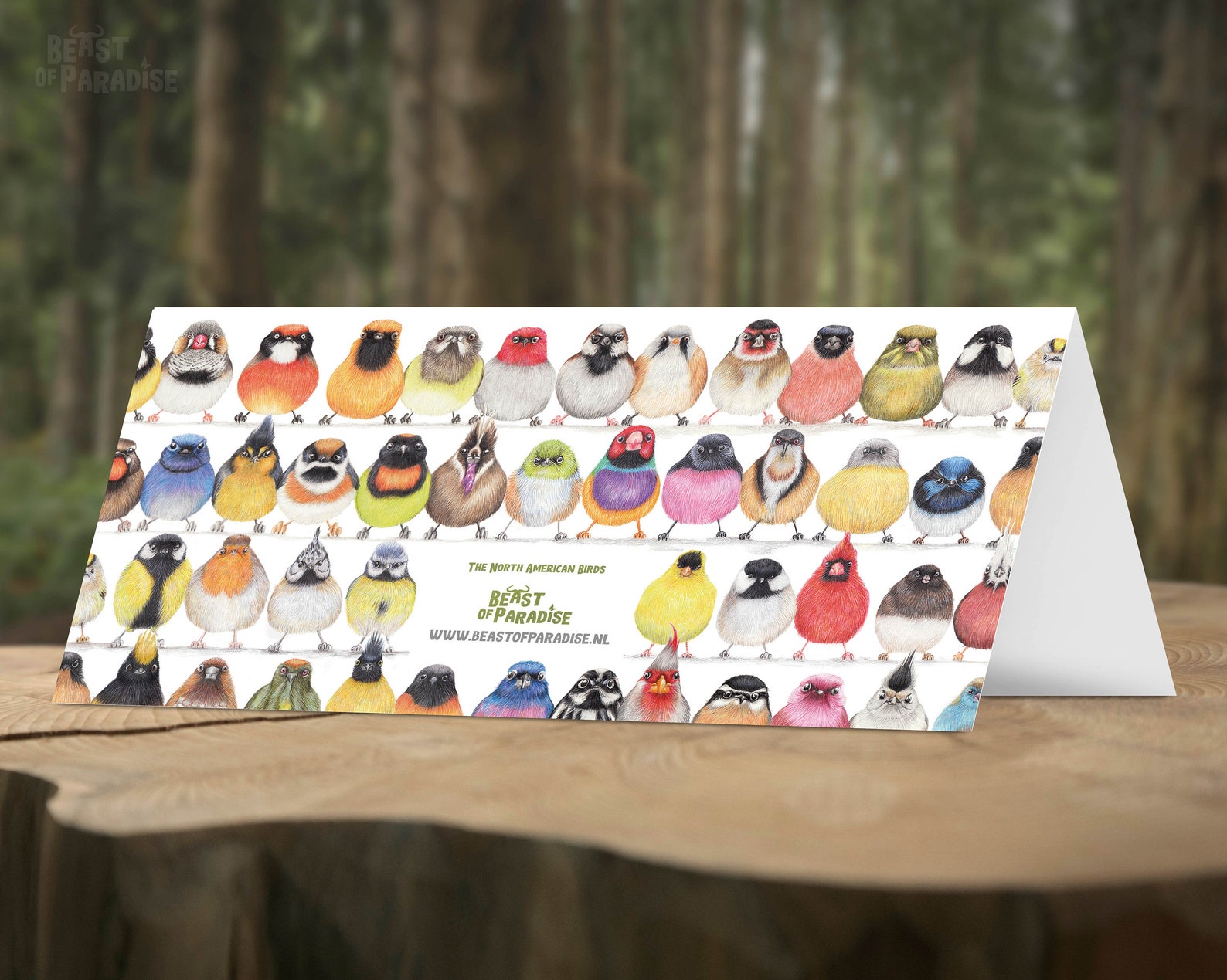 6 Funny Cards, Cute Little Birdie Cards, Set of 6, Animal Greeting ...