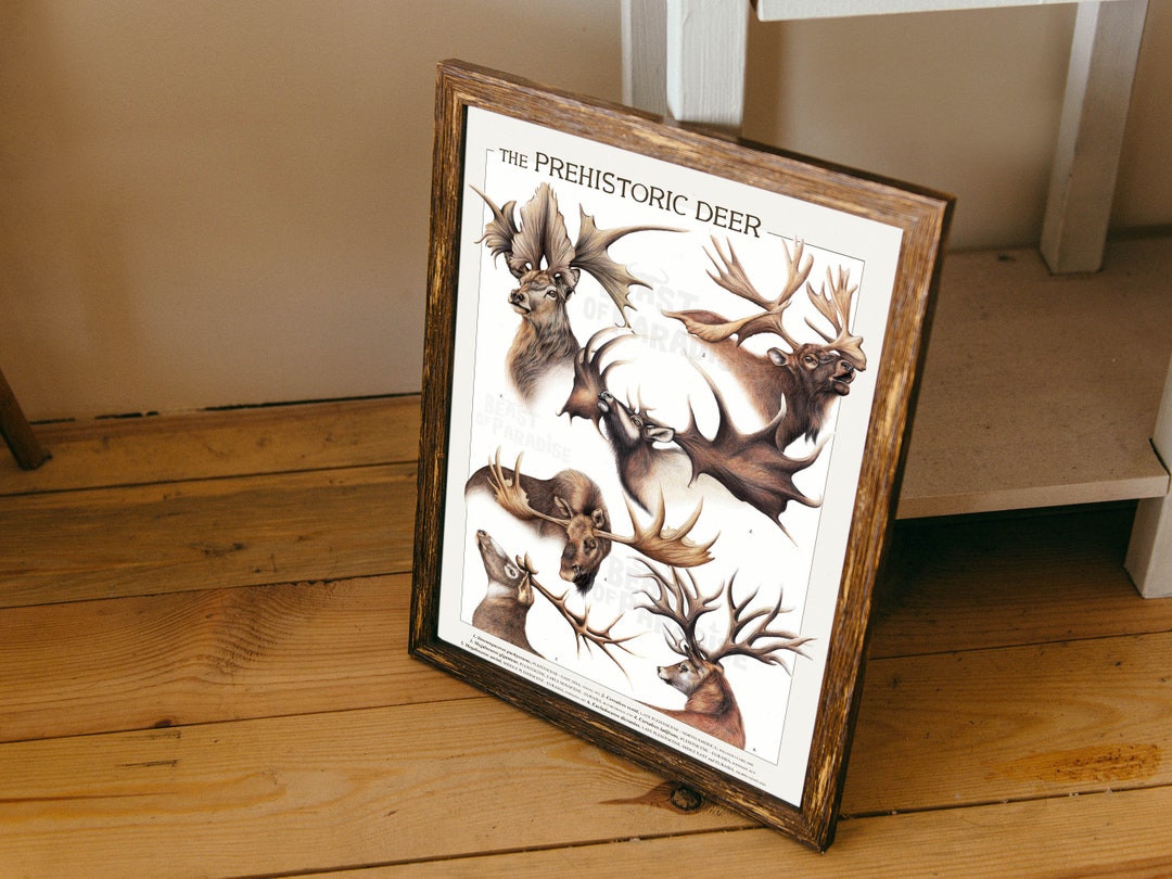 The Prehistoric Deer Poster A3 Posters Scientific - Etsy