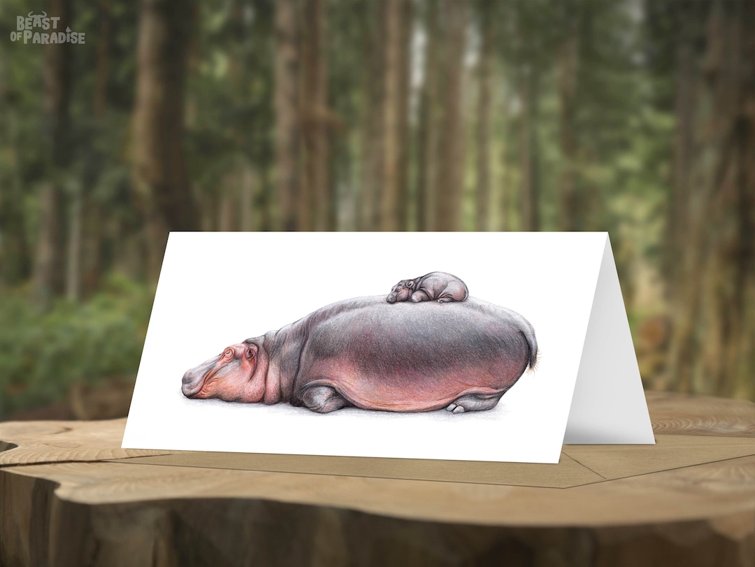 Hippopotamus Card, Birthday Card, Greeting Card, Whimsical Cards, Blank ...