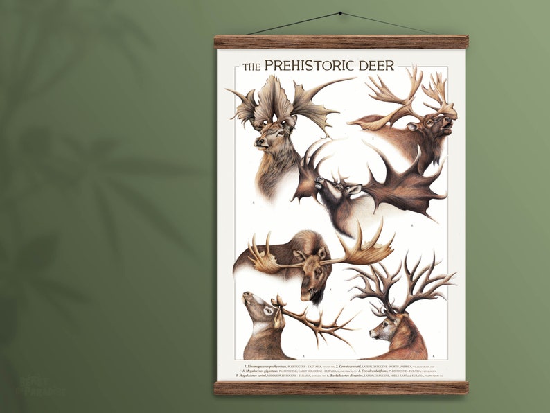 The Prehistoric Deer Poster A3 Posters Scientific - Etsy