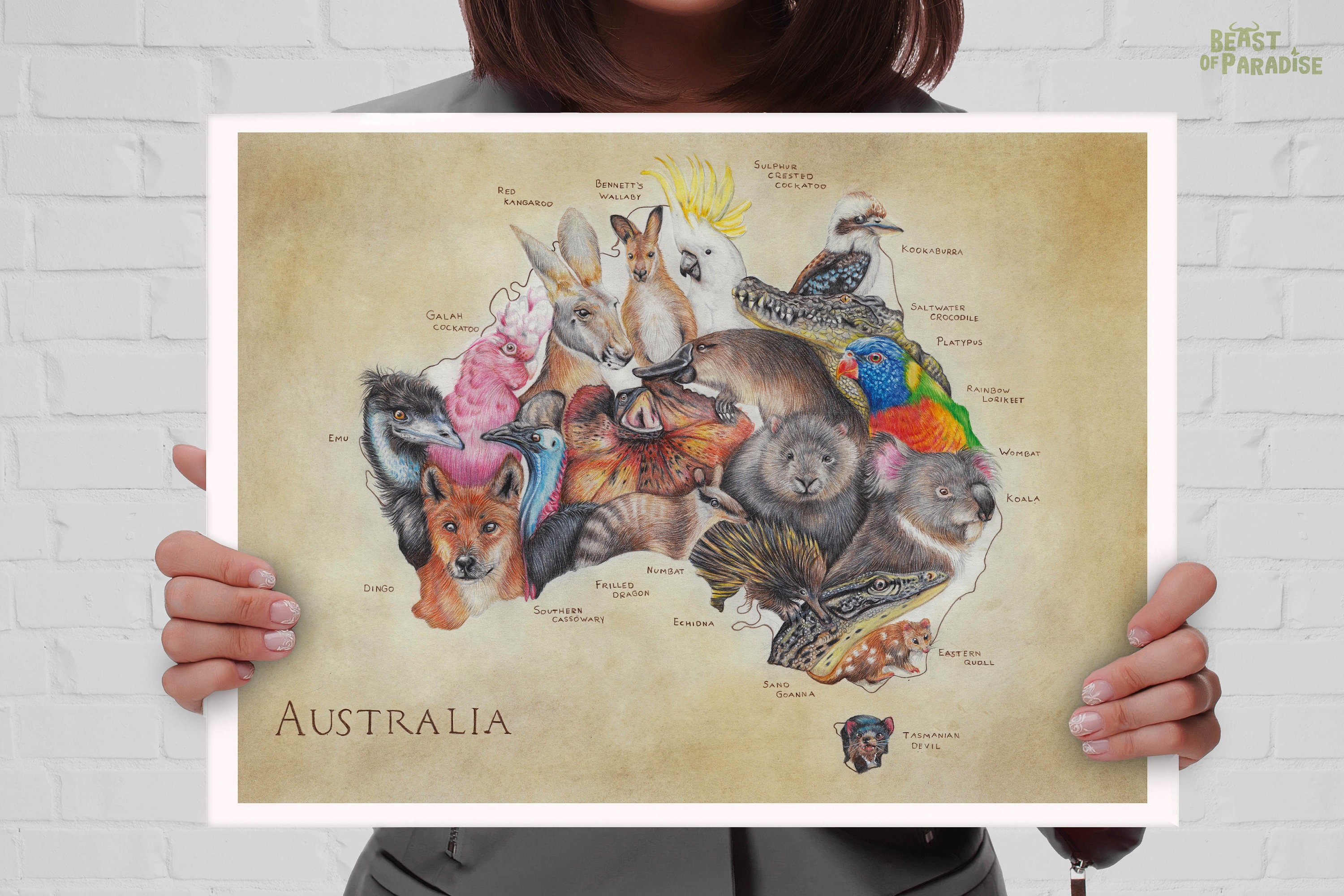 Wildlife of Australia, 30 X 40 Cm, Map Art Print, Animal Map Wall ...