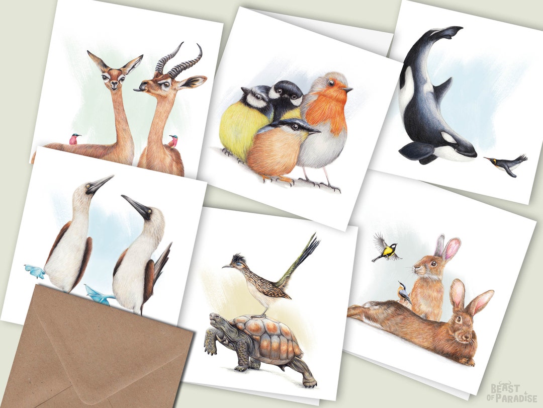 Funny Animal Cards, Set of 6, Greeting Cards Handmade, Card Set Blank ...