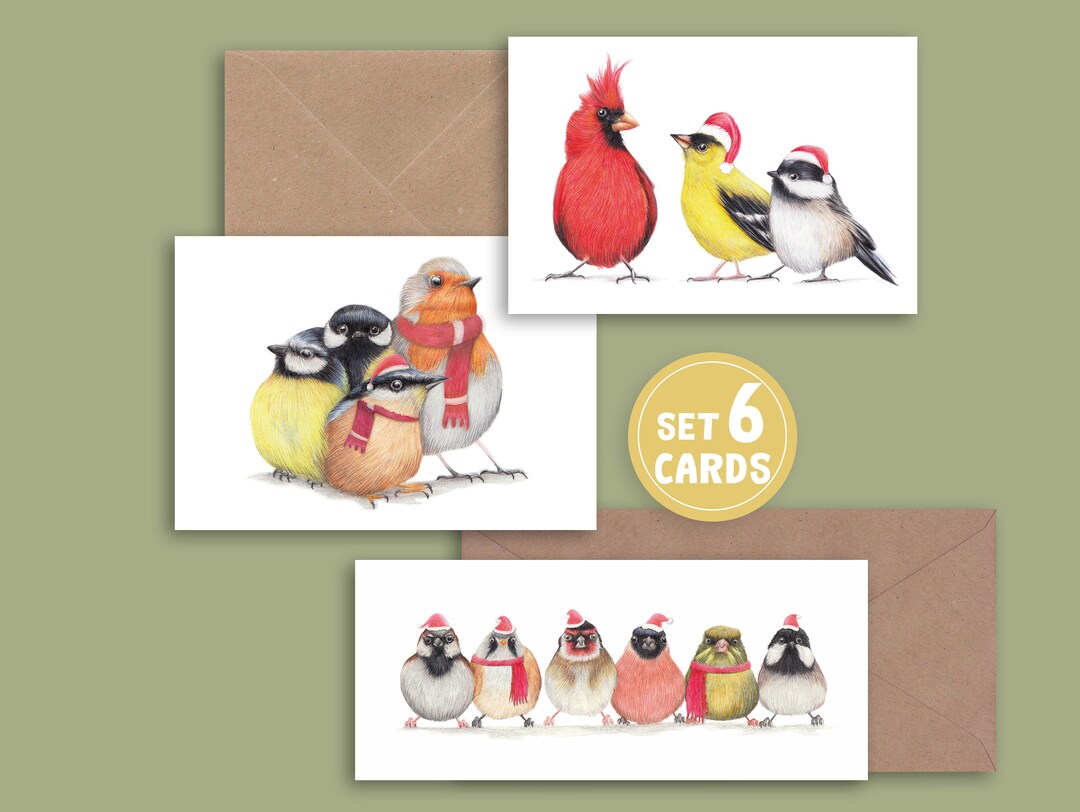 Bird Christmas Cards Set, Set of 6, Holiday Cards, Greeting Card ...