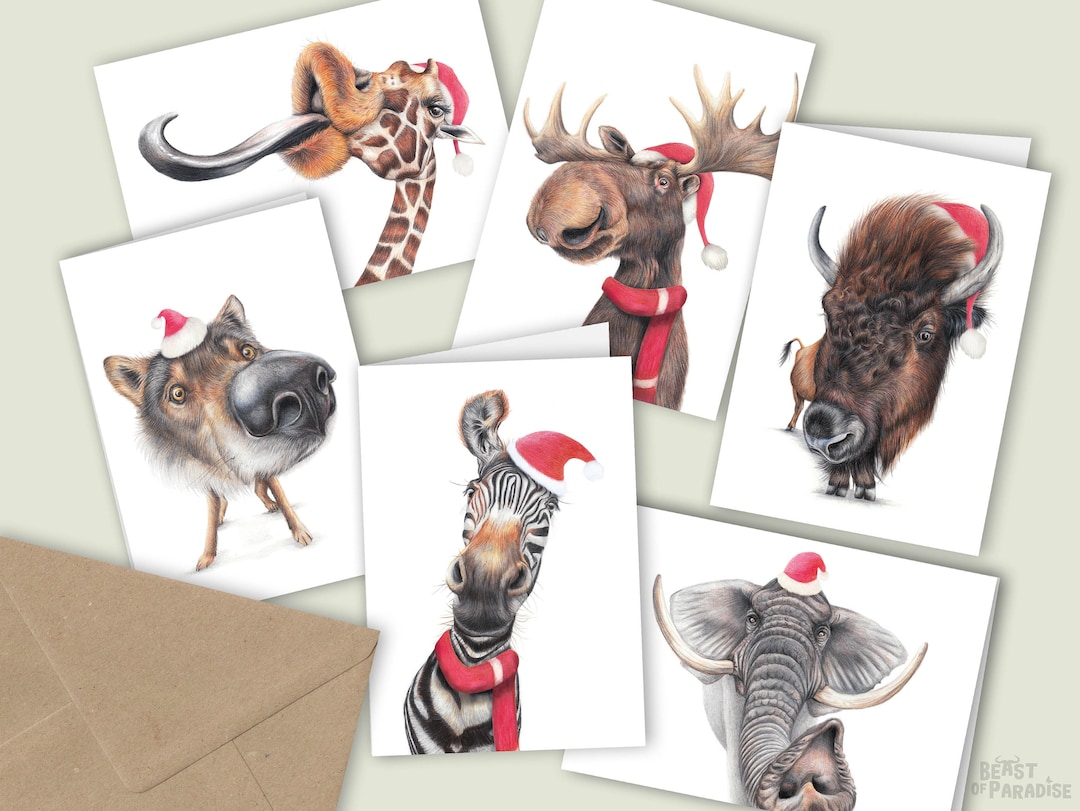 Funny Wildlife, Christmas Cards, Set of 6, Handmade Holiday Cards ...
