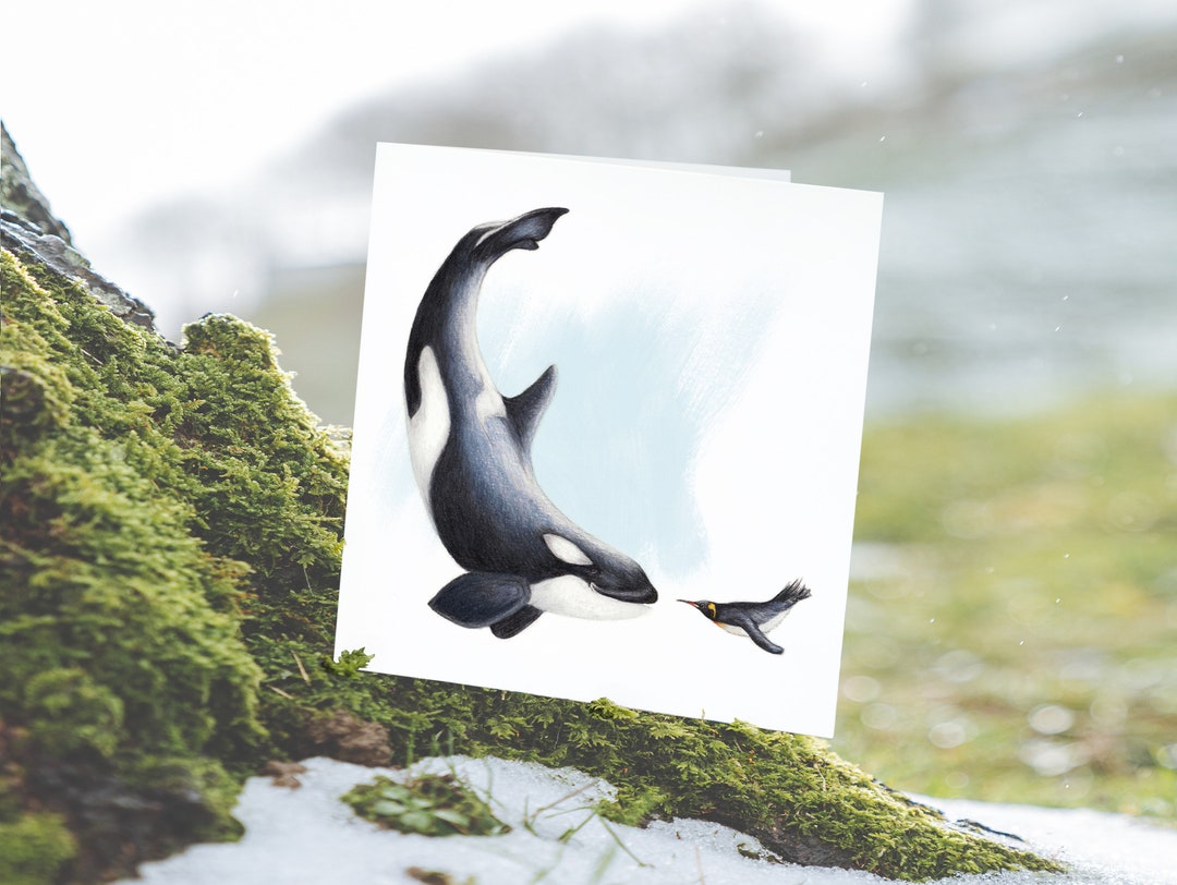 King Penguin & Killer Whale Card, Birthday Card, Greeting Card ...