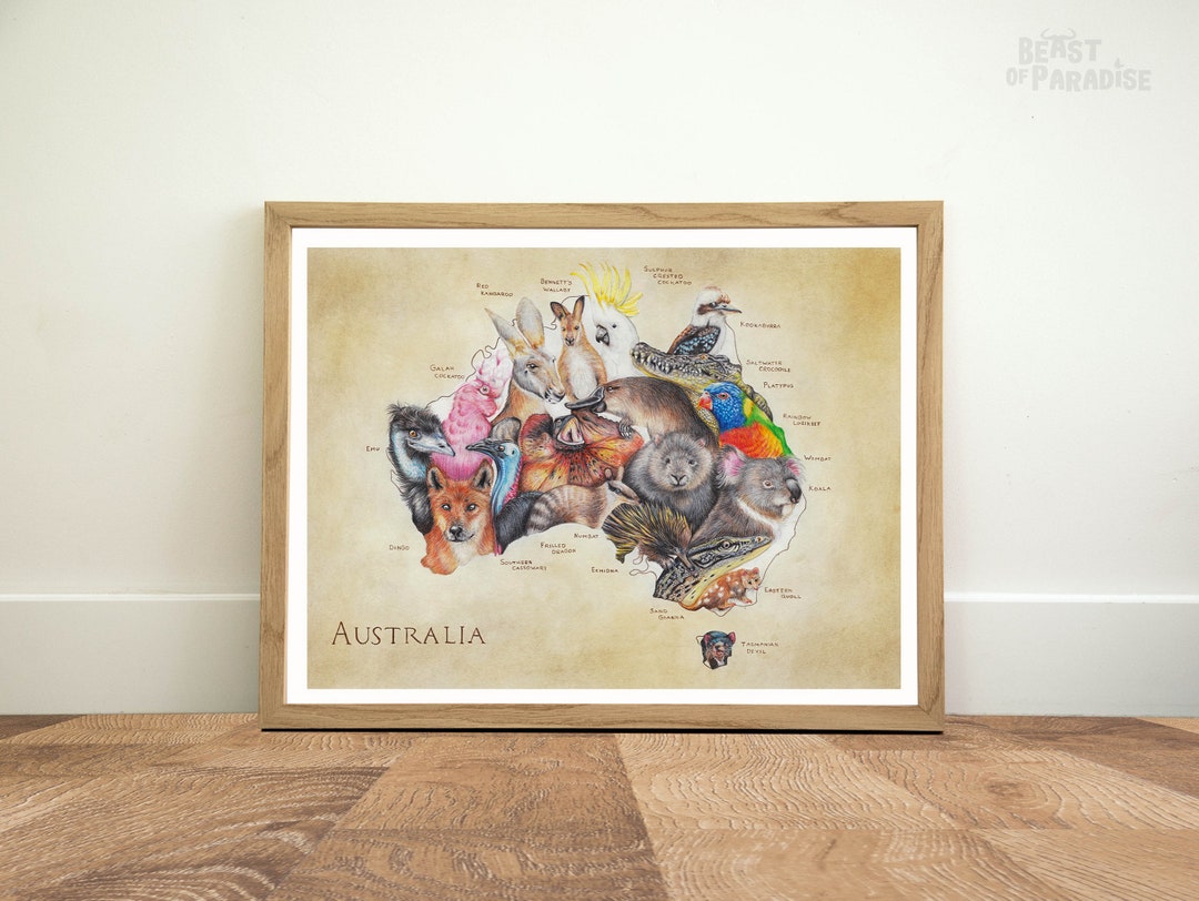 Wildlife of Australia, 30 X 40 Cm, Map Art Print, Animal Map Wall ...