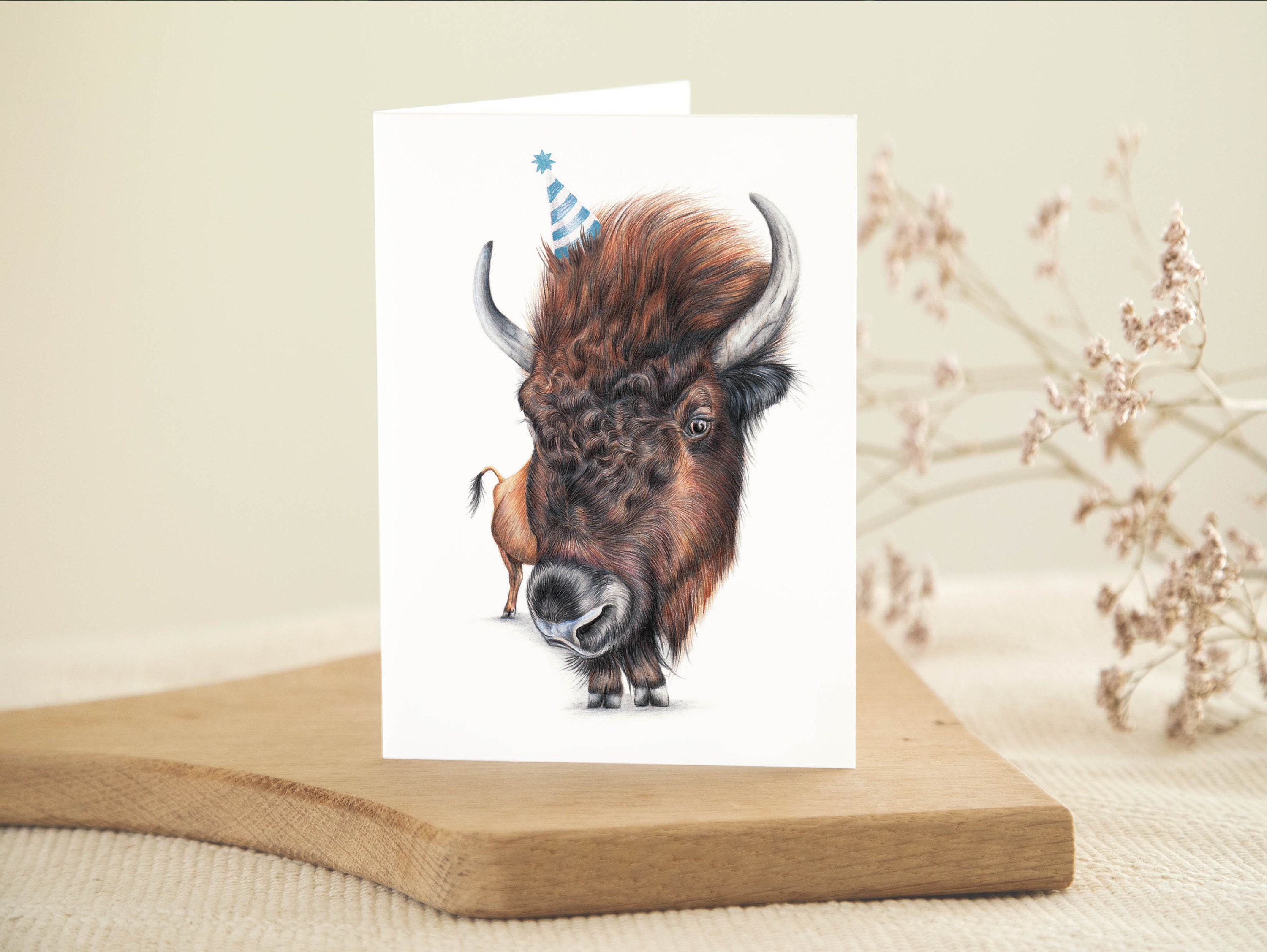 Funny Birthday Animal Cards, Set of 6, Greeting Cards Handmade, Card ...