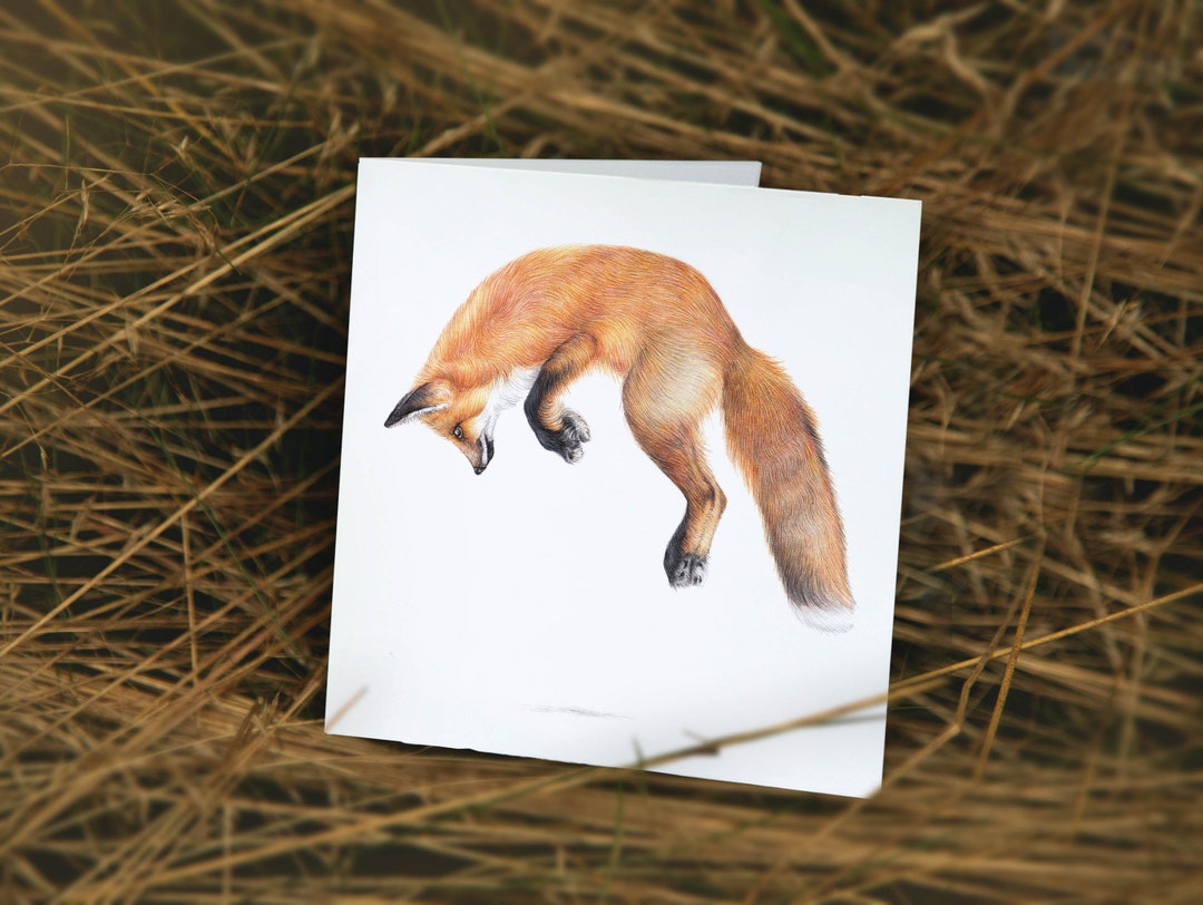 Red Fox Card, Birthday Card, Greeting Card, Whimsical Cards, Blank ...