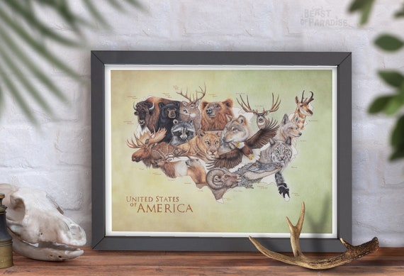 Wildlife of the United States of America Map Poster 30 x 50 | Etsy