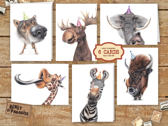Funny Birthday Animal Cards Set of 6 Greeting Cards - Etsy