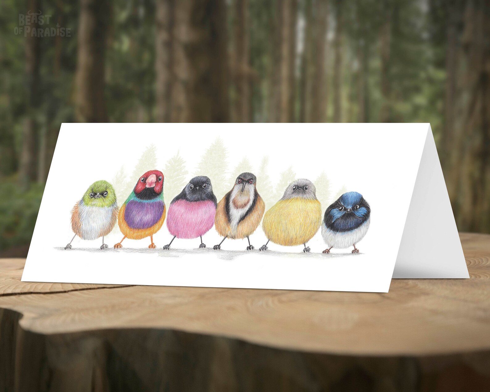 6 Funny Cards, Cute Little Birdie Cards, Set of 6, Animal Greeting ...
