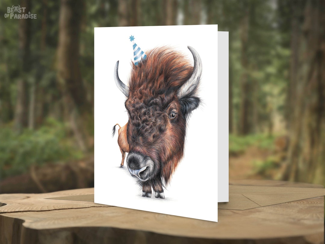 Bison Card, Birthday Card, Greeting Card, Whimsical Cards, Blank Cards ...