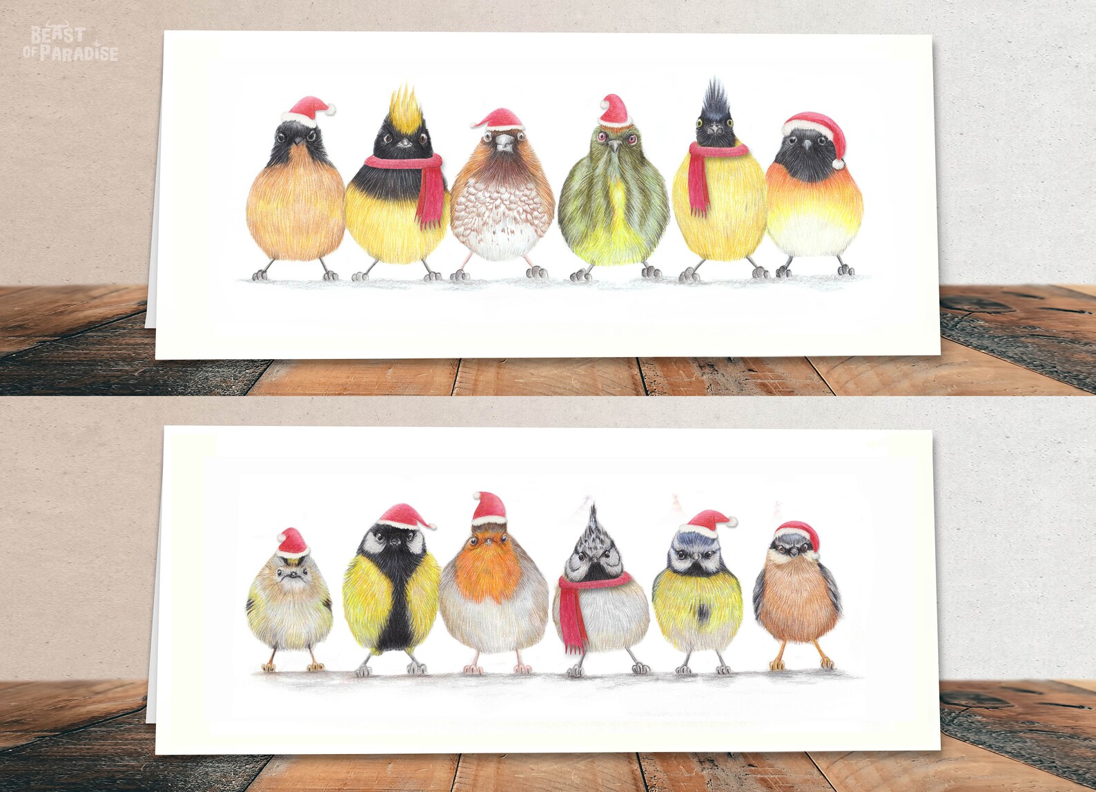 12 Cute Little Birdies Christmas Cards Set of 12 Handmade - Etsy