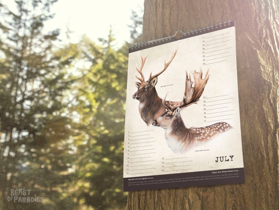 Birthday Calendar With Deer Perpetual Calendar Gift for - Etsy