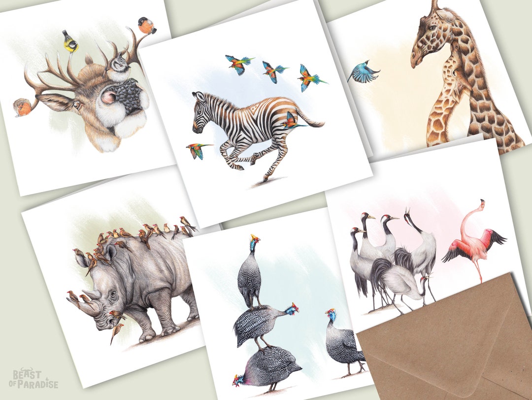 6x Funny Animal Cards, Set of 6, Greeting Cards Handmade, Card Set ...