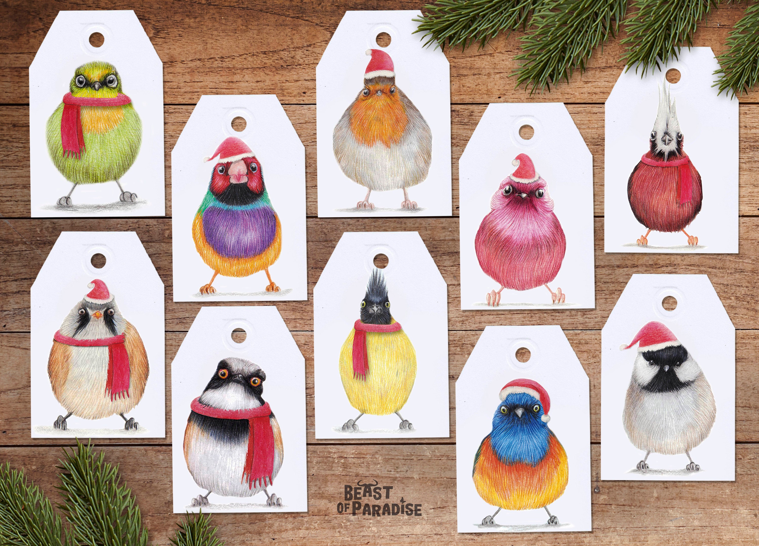 10x Cute Birdies Christmas Tags Gift Tag Set of 10 Birds | Etsy
