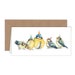 Birthday Cards, Set of 6, Bird Greeting Cards, Animal Cards, Gift for ...