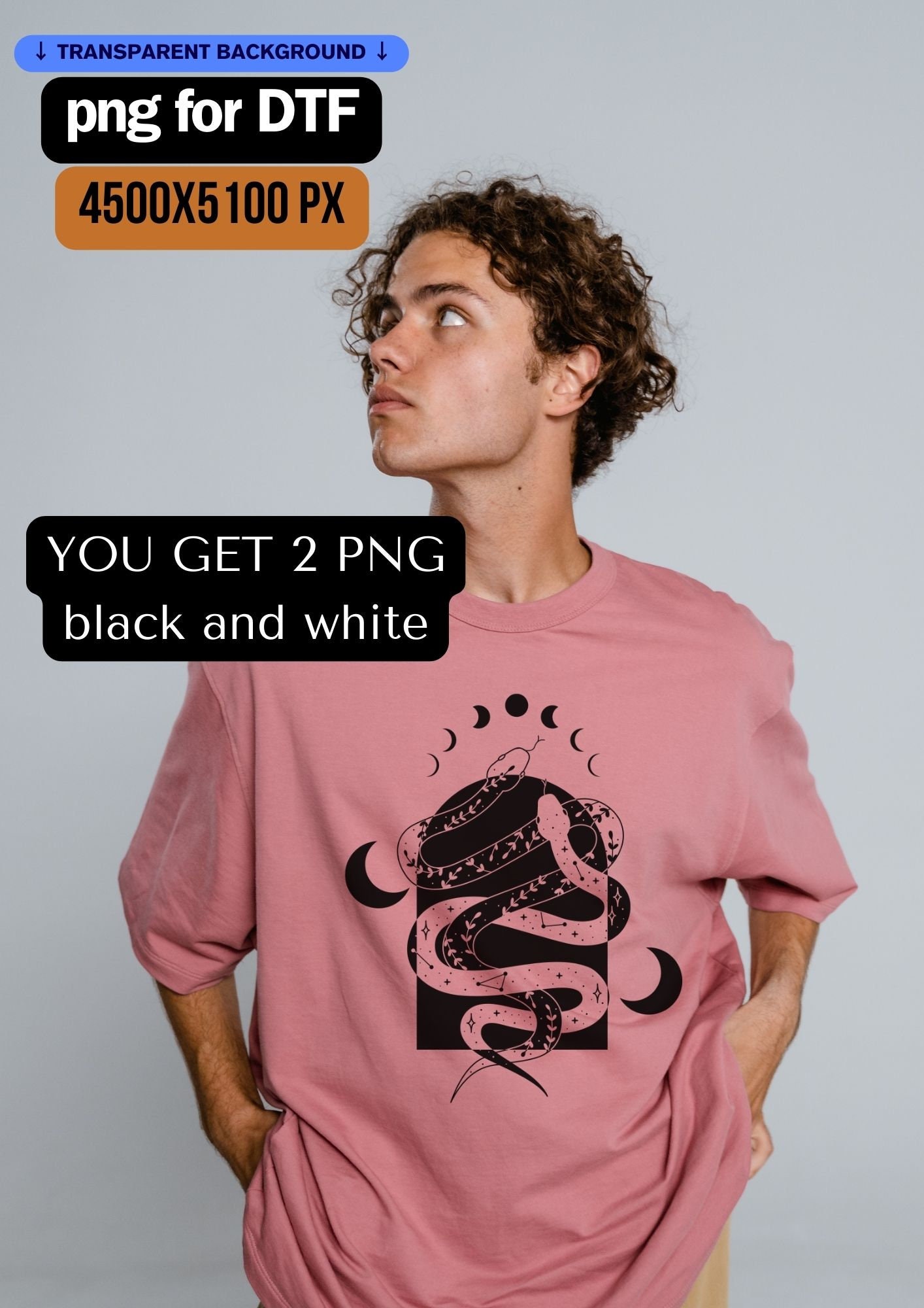 Snake Tarot Card Png Designs for DTF and Sublimate, Moon Phases Png ...