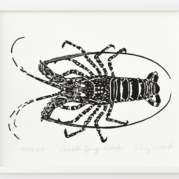 Spiny Lobster - Etsy