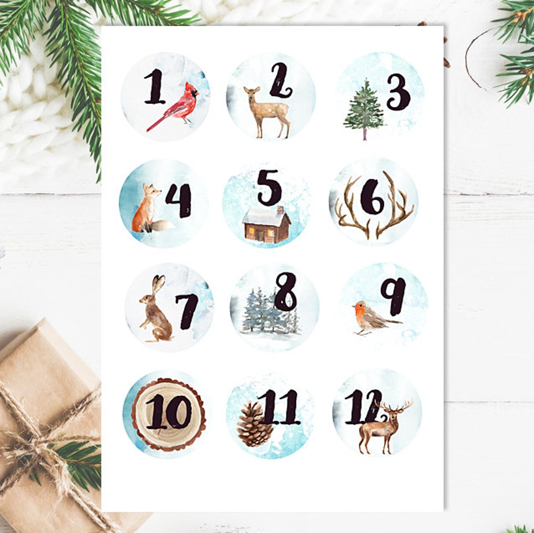 Advent Calendar Numbers Around Forest Animals for Friends Children ...