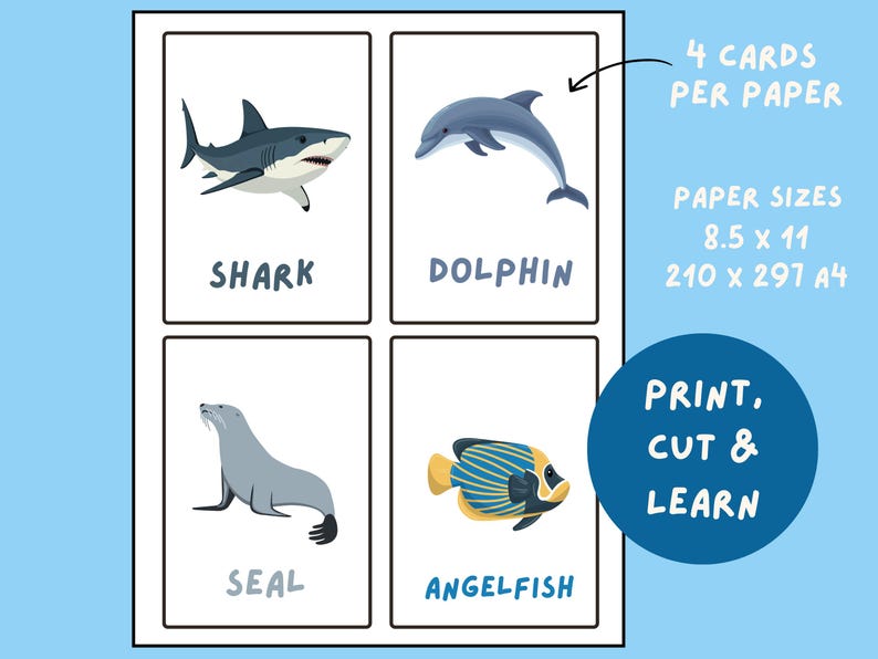 Sea Animals Flash Cards: Ocean Learning, Preschool Printable (PDF ...