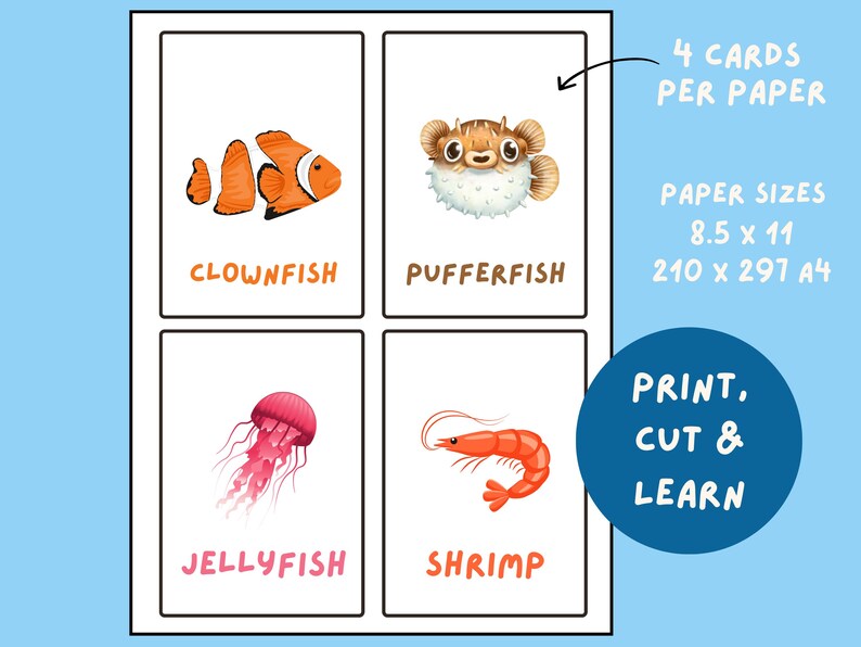 Sea Animals Flash Cards: Ocean Learning, Preschool Printable (PDF ...