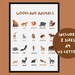 Educational Animal Posters: Farm, Woodland, Sea, Bugs (printable ...