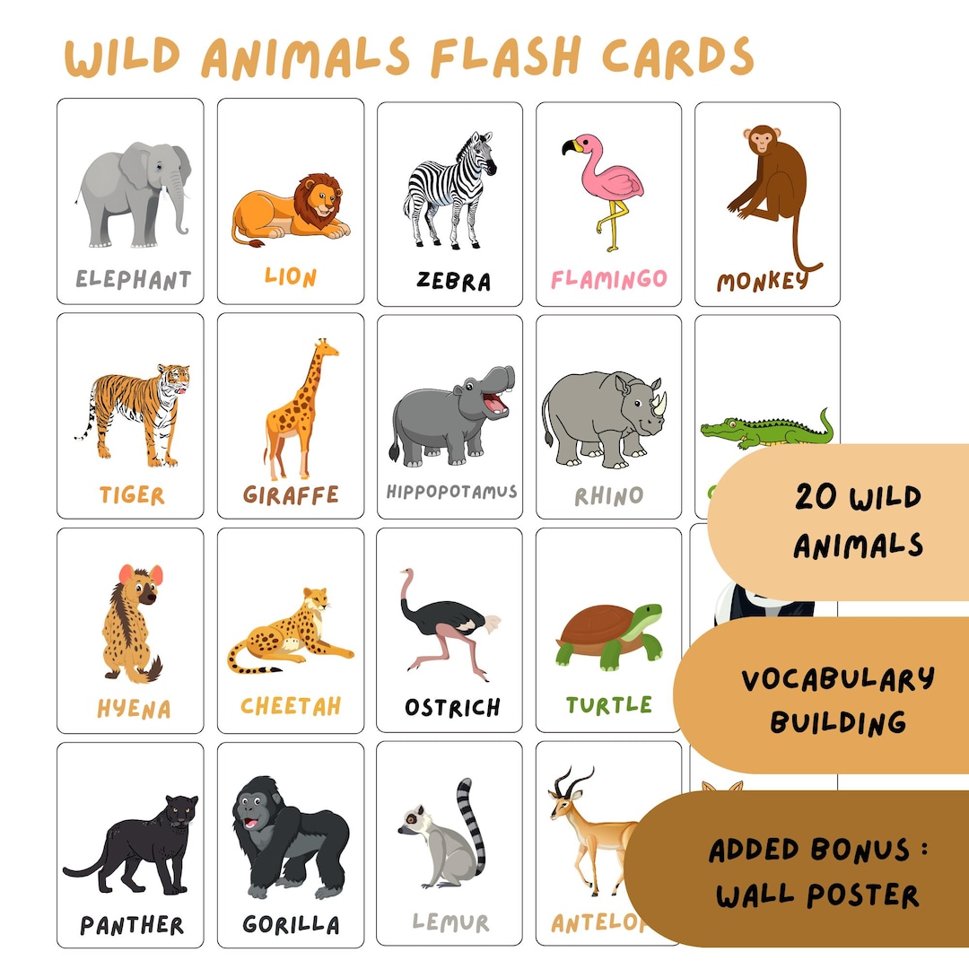Wild Animals Flash Cards – 20 Printable Cards + Bonus Wall Poster ...