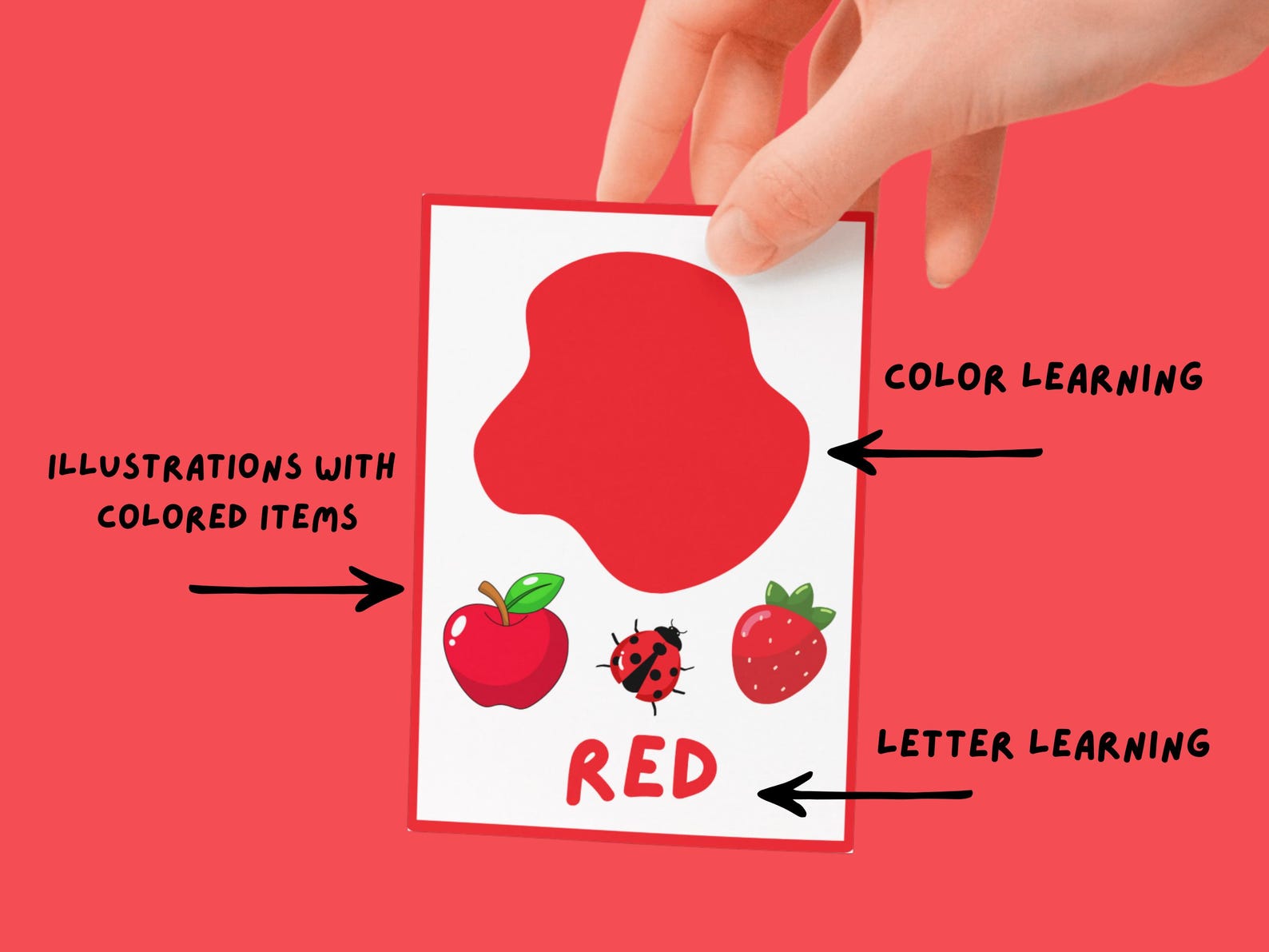 Color Flash Cards & Matching Game for Preschool – 2 Sizes – Printable ...