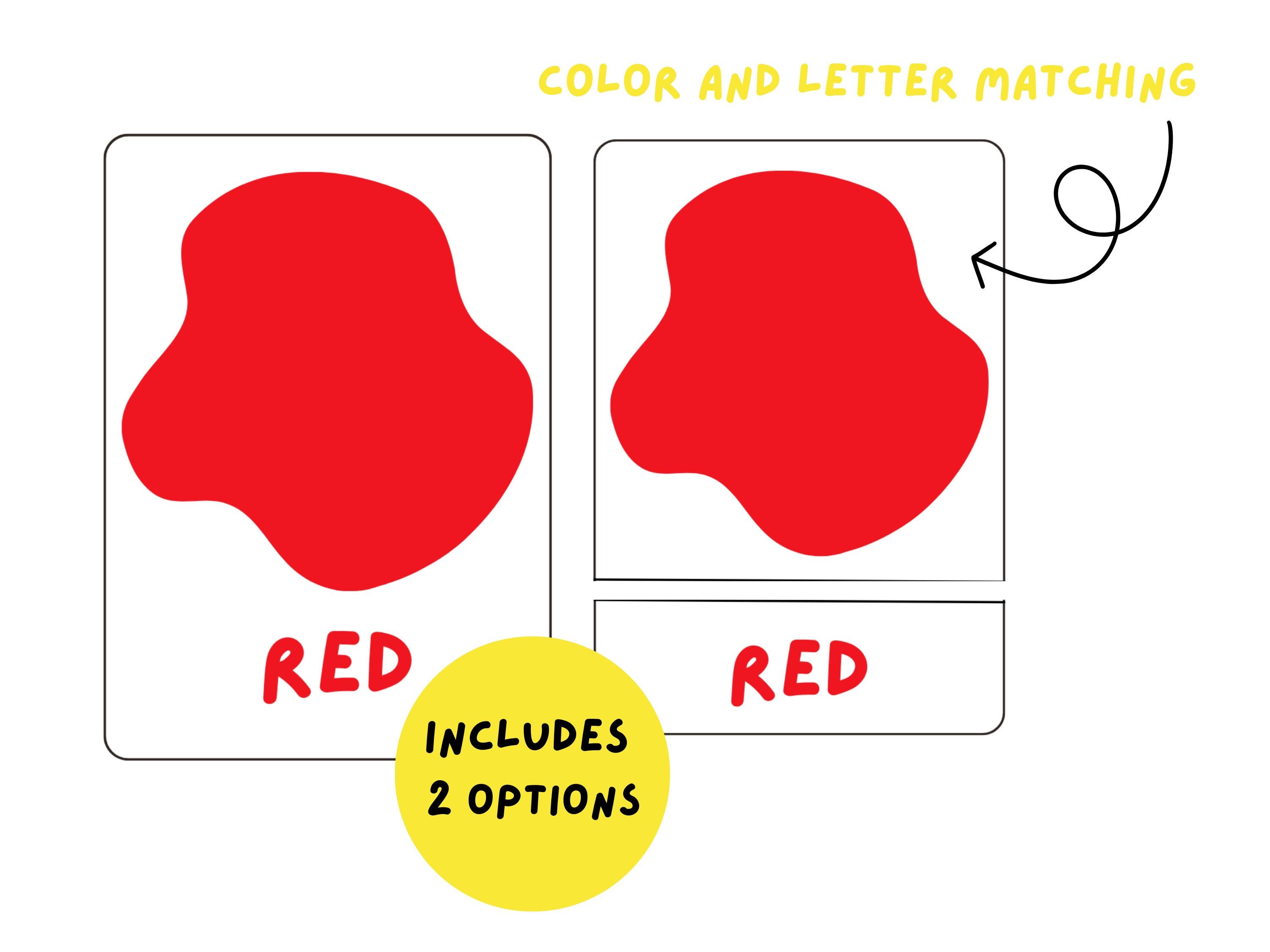 Color Flash Cards & Matching Game for Preschool – 2 Sizes – Printable ...