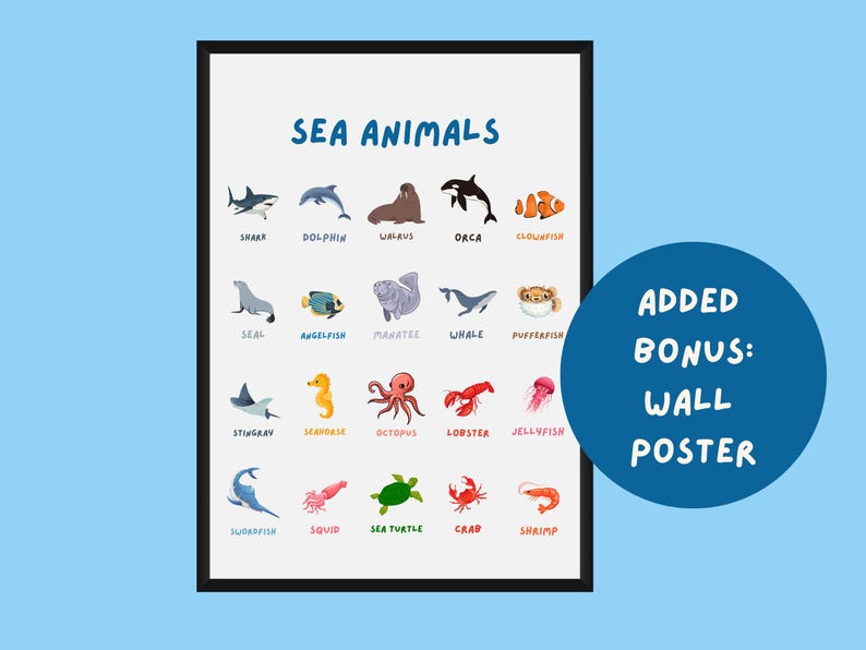 Sea Animals Flash Cards: Ocean Learning, Preschool Printable (PDF ...