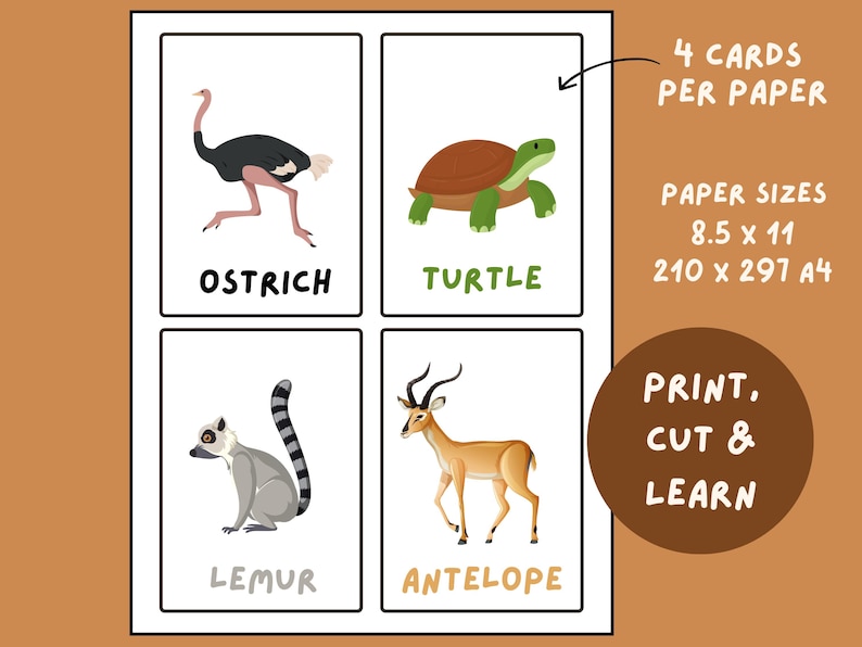Wild Animals Flash Cards – 20 Printable Cards + Bonus Wall Poster ...