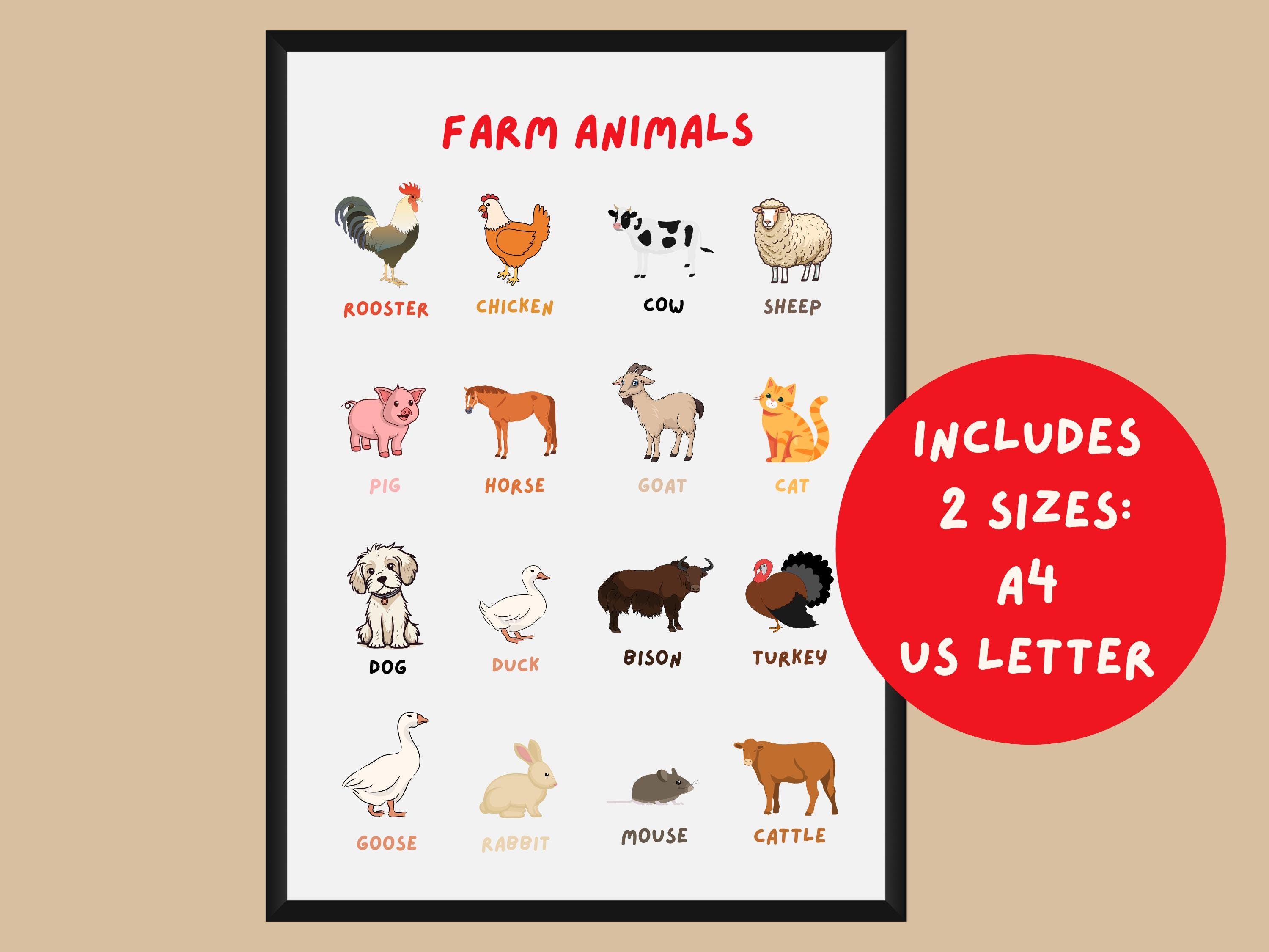 Educational Animal Posters: Farm, Woodland, Sea, Bugs (printable ...