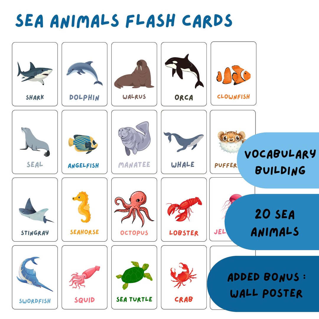 Sea Animals Flash Cards: Ocean Learning, Preschool Printable (PDF ...
