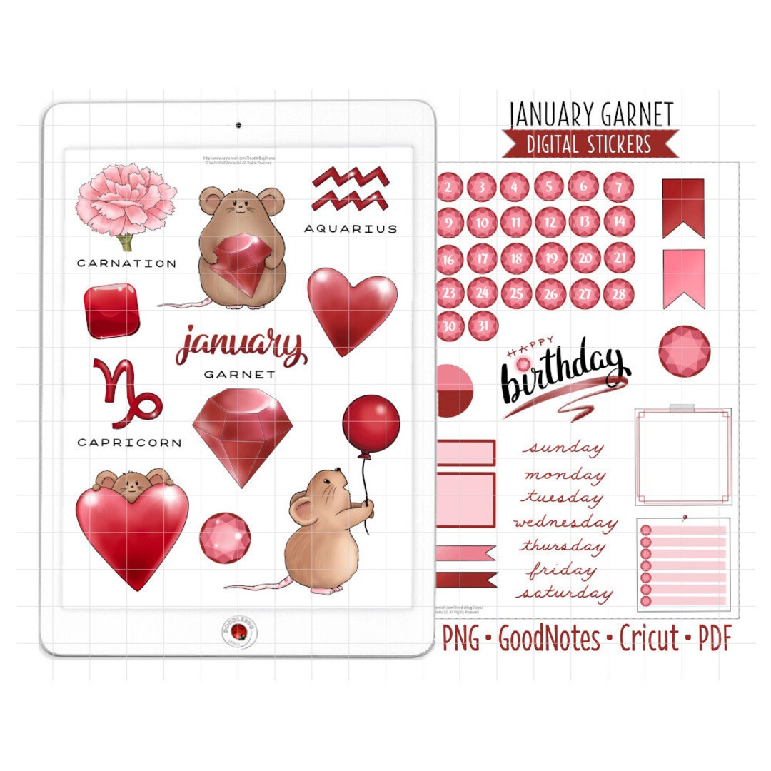 January Birthstone Digital Planner Stickers - Birthday Calendar Theme ...