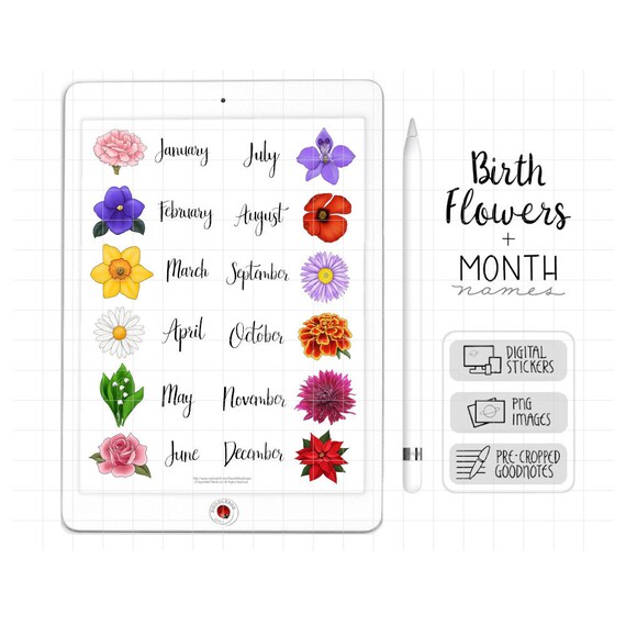 Floral Small Icon Stickers A September Lilies 2021 Stickers, Labels ...