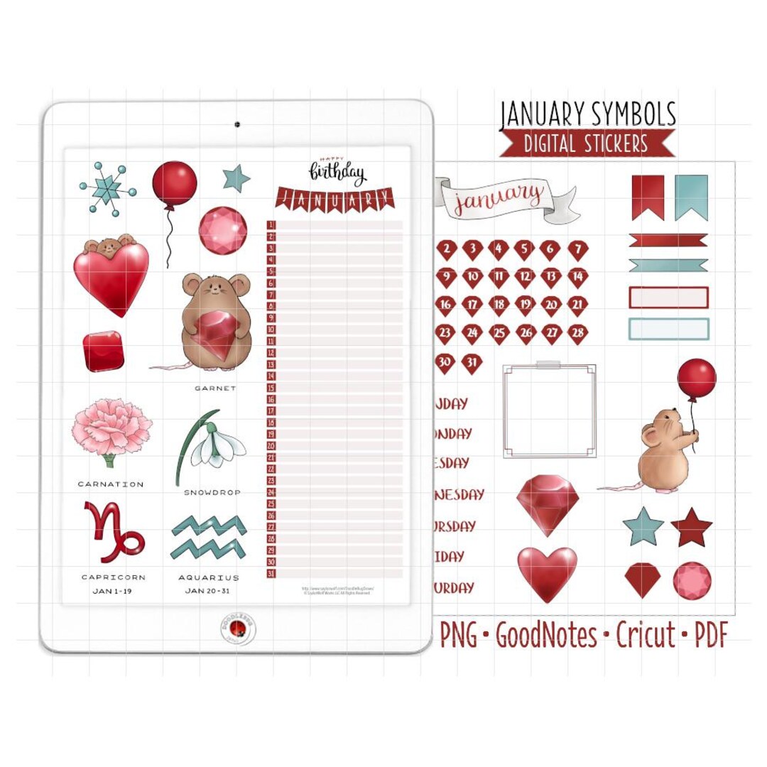 January Birth Month Symbols Digital Planner Stickers - Birthday Theme ...