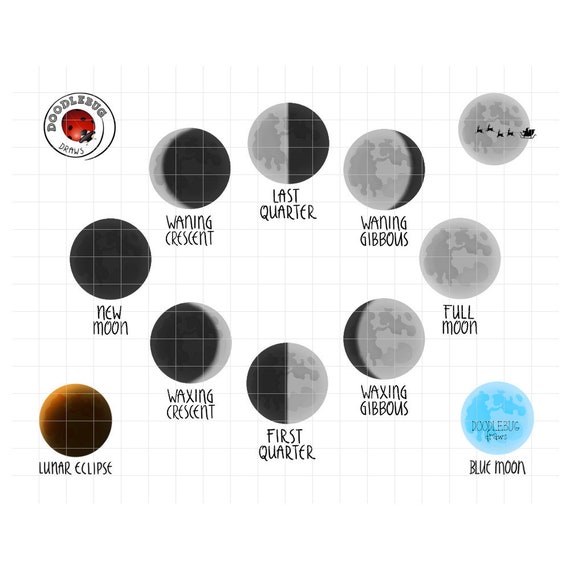 Moon Phases Digital Planner Stickers Lunar Cycle Digital | Etsy