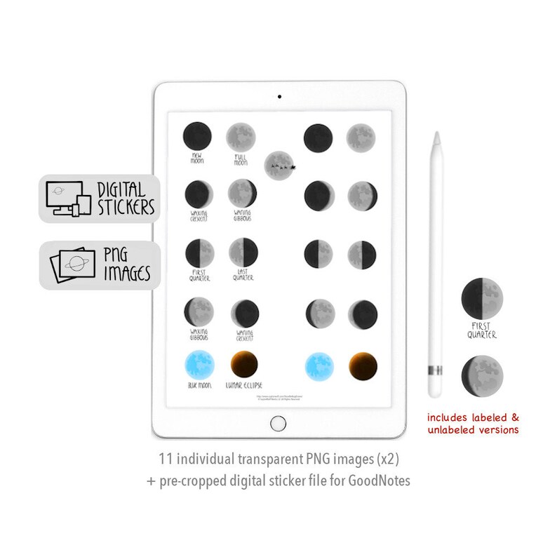 Moon Phases Digital Planner Stickers Lunar Cycle Digital | Etsy
