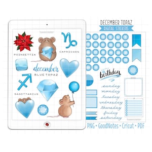 December Birthstone Digital Planner Stickers - Birthday Calendar Theme ...