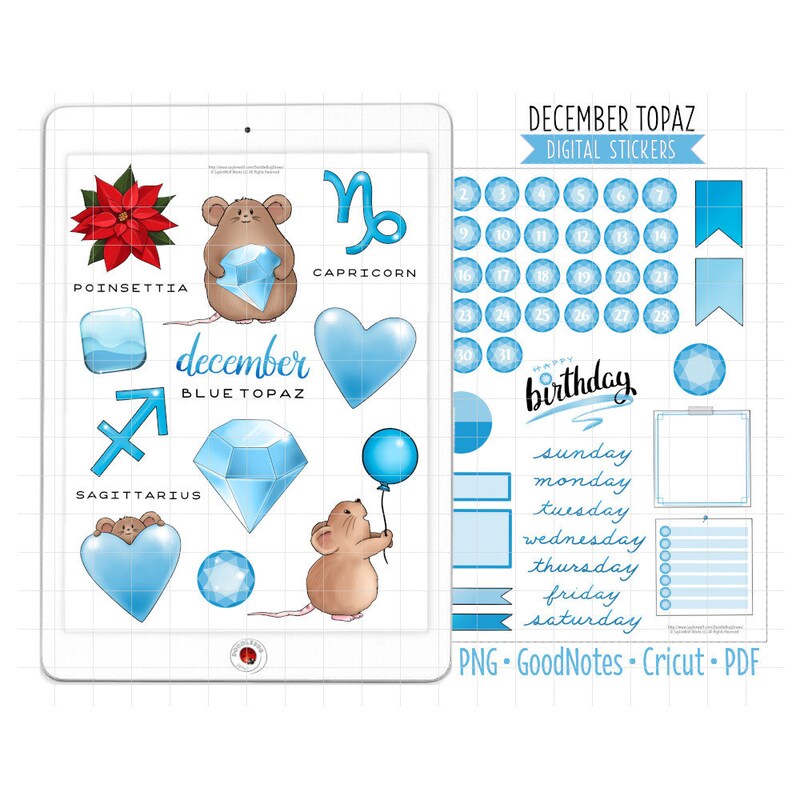 December Birthstone - Etsy