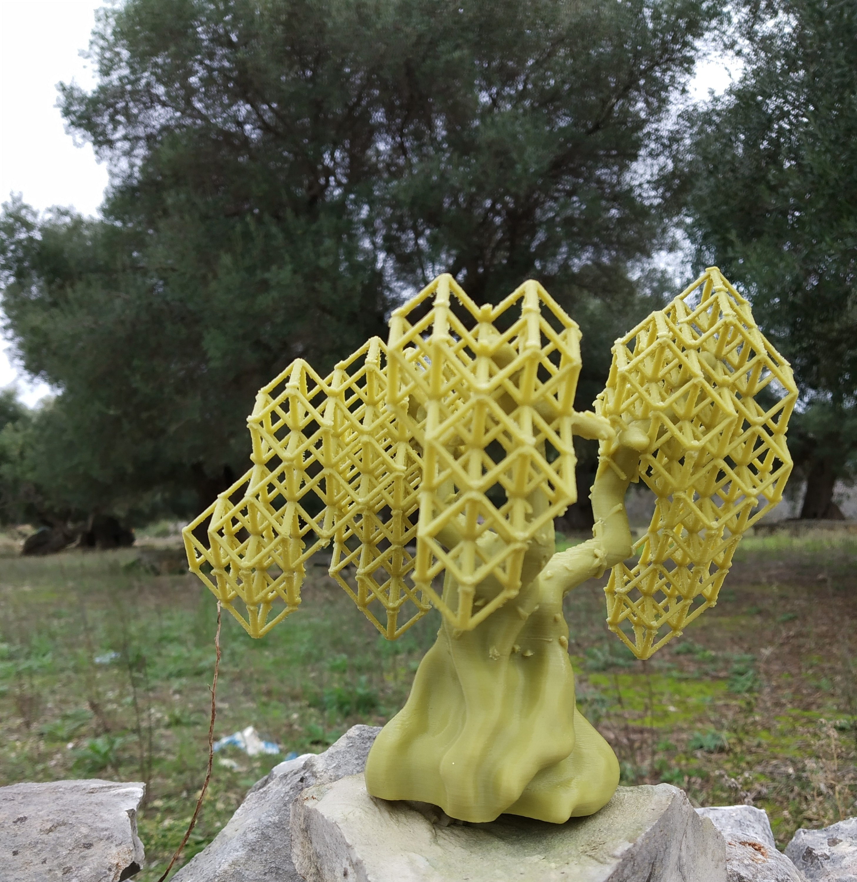 Olivotreem - Cut Form Enjoy - Olive Tree Bonsai to Trim - Ulivo Da ...