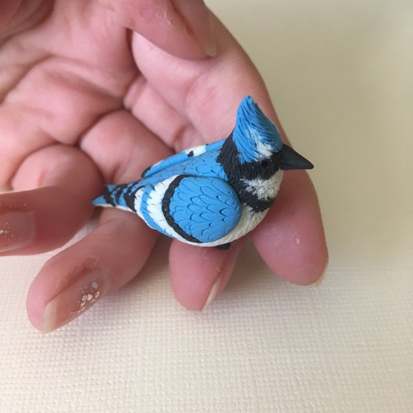 Blue Jay - Etsy