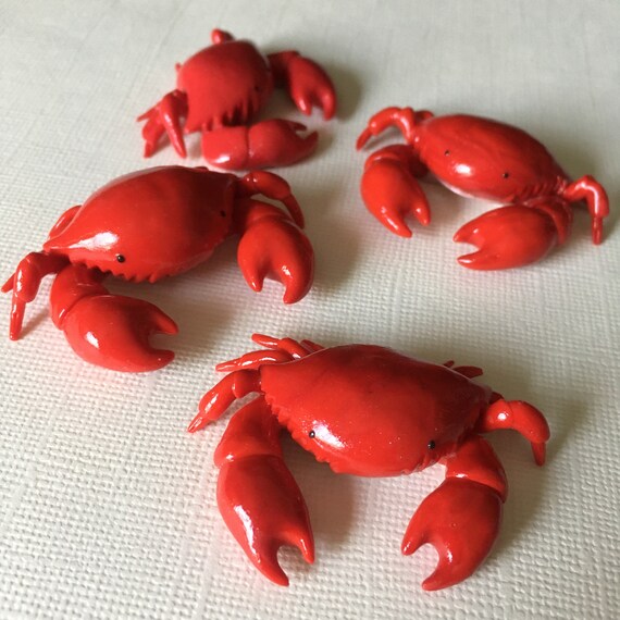 Cute Crab Pictures